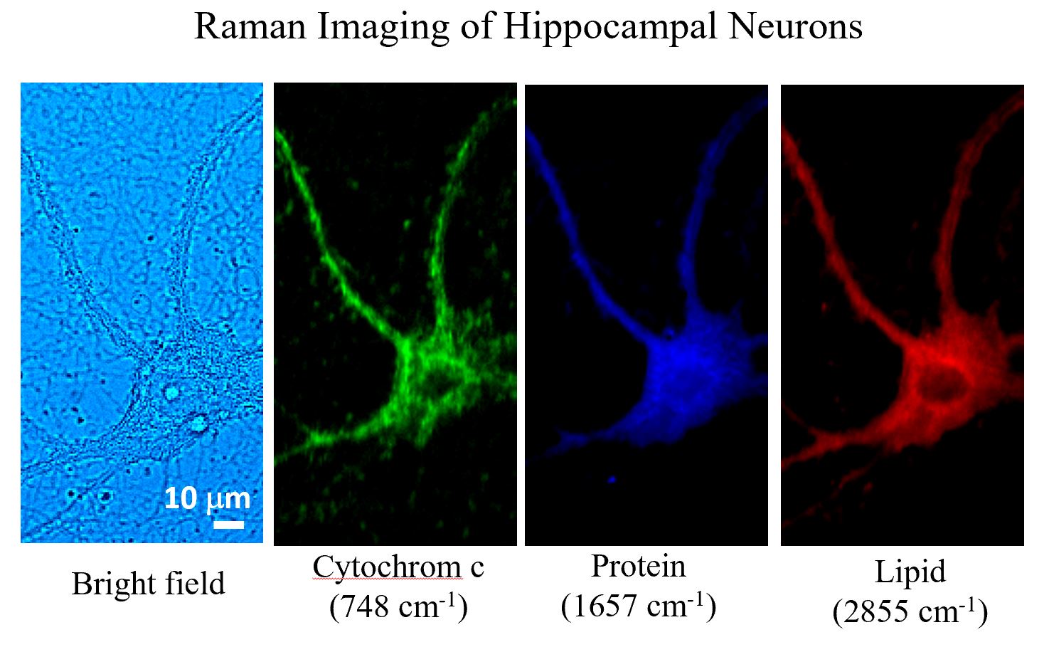 Department of Applied Physics | Division of Applied Science | School of ...
