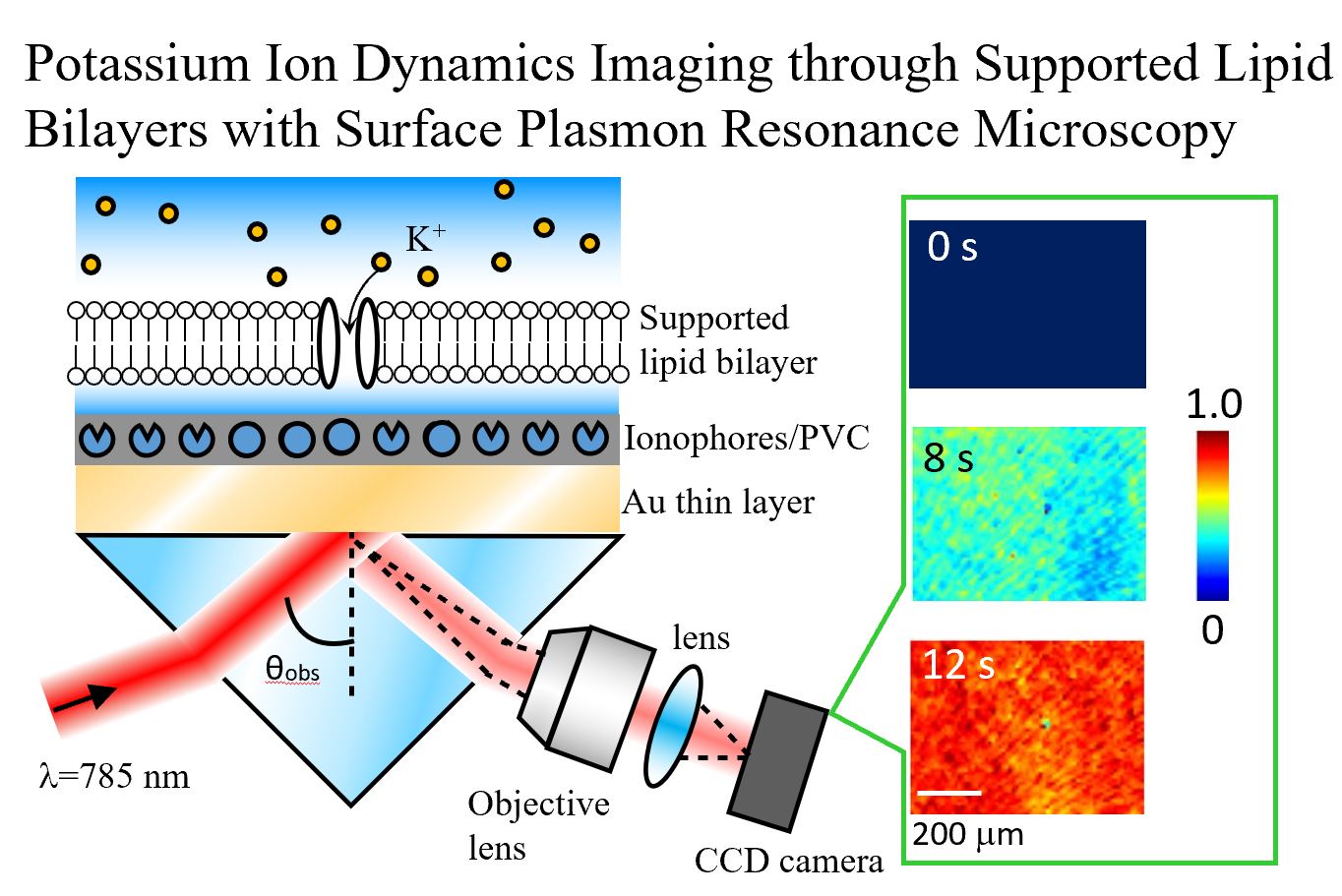 Department of Applied Physics | Division of Applied Science | School of ...